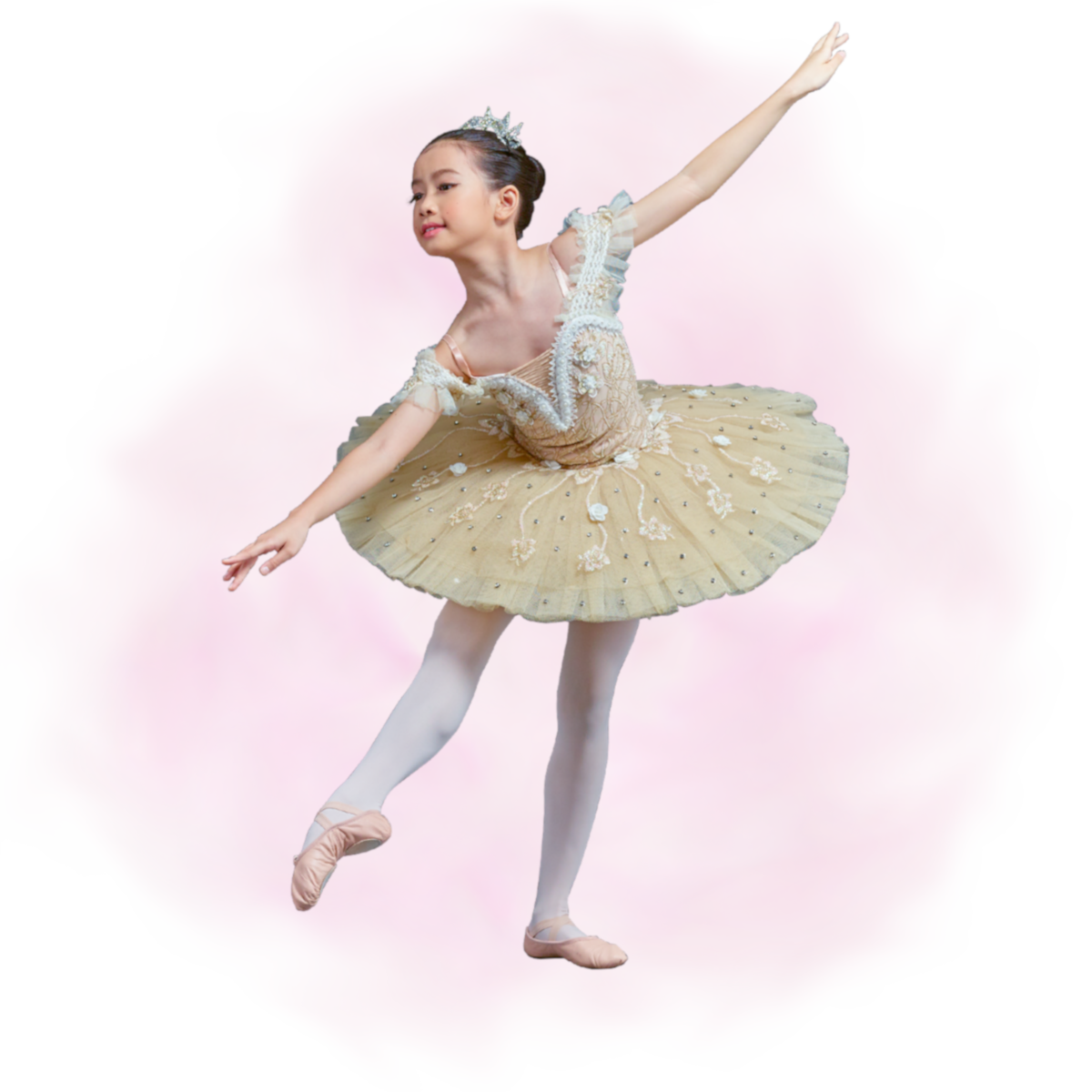Classes – Yan Ballet Academy